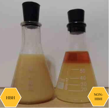 Why Choose HONEY B HEALTHY®? – Honey B Healthy